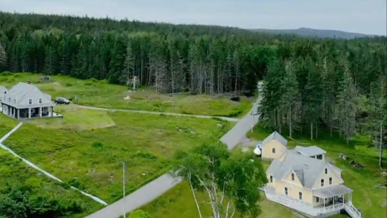 Why a young family decided to move to a tiny Maine island on a whim ...
