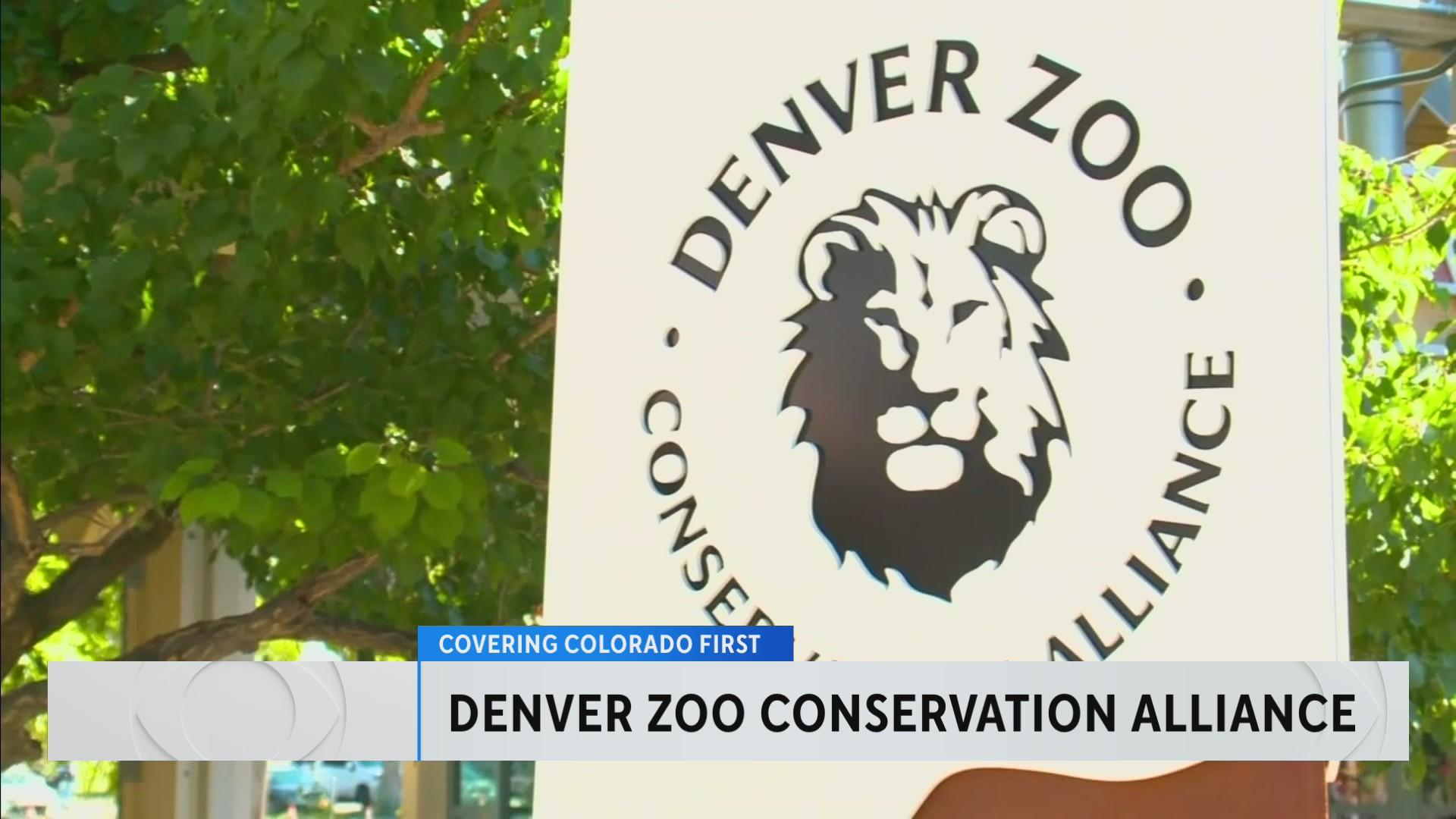 Denver Zoo rebrands, changes name to Denver Zoo Conservation Alliance ...