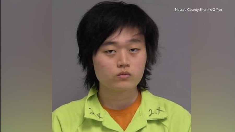 Man who allegedly flew to Florida to attack gamer with hammer after ...