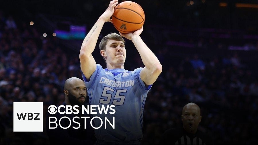 Get to know Baylor Scheierman, the newest member of the Boston Celtics ...