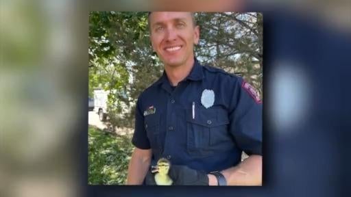 Denver firefighter challenges bosses over comp time - CBS Colorado