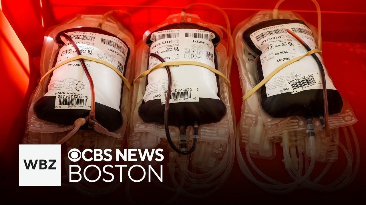 "Landmark" blood transfusion saves crash victim before he's rushed to ...