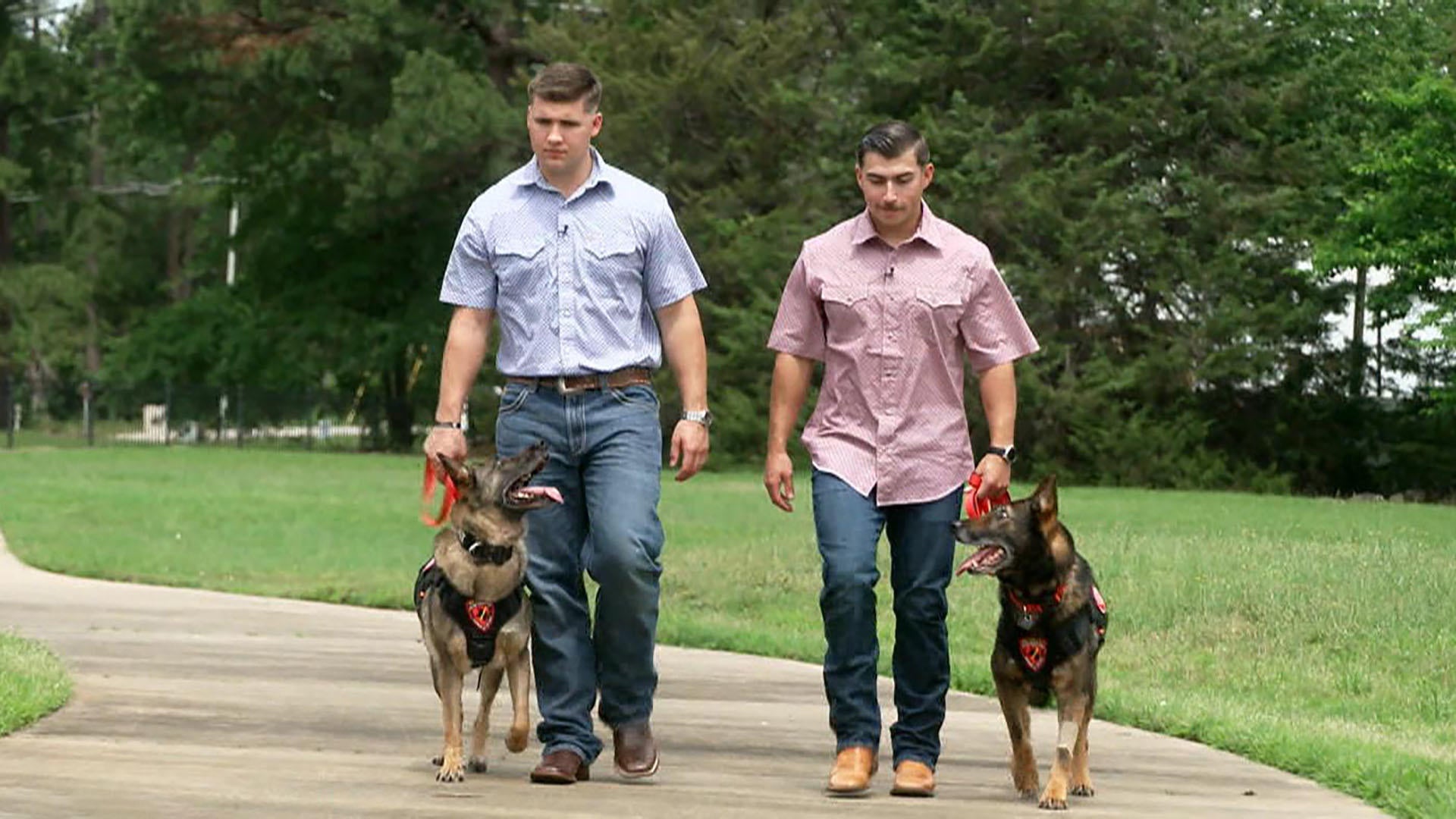 Separated by duty but united by bond, a pair of Marines and their K-9s ...