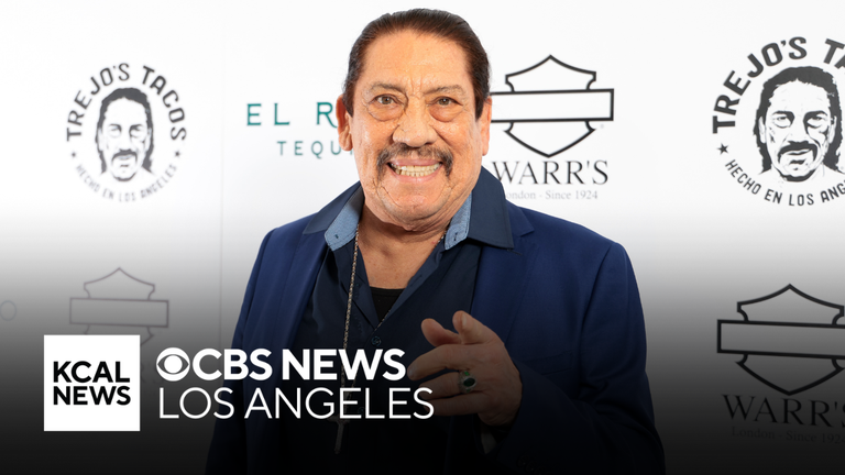 Actor Danny Trejo caught on camera during fight at Fourth of July ...