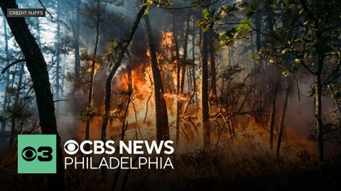 New Jersey's Wharton State Forest fire 65% contained, 4,000 acres ...