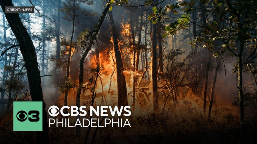 New Jersey's Wharton State Forest fire 65% contained, 4,000 acres ...