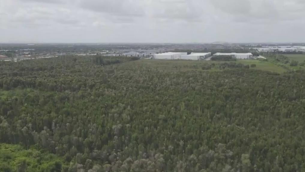 Proposed American Dream Miami mega mall near the Everglades remains on ...