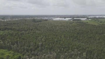 Proposed American Dream Miami mega mall near the Everglades remains on ...