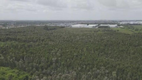 Proposed American Dream Miami mega mall near the Everglades remains on ...