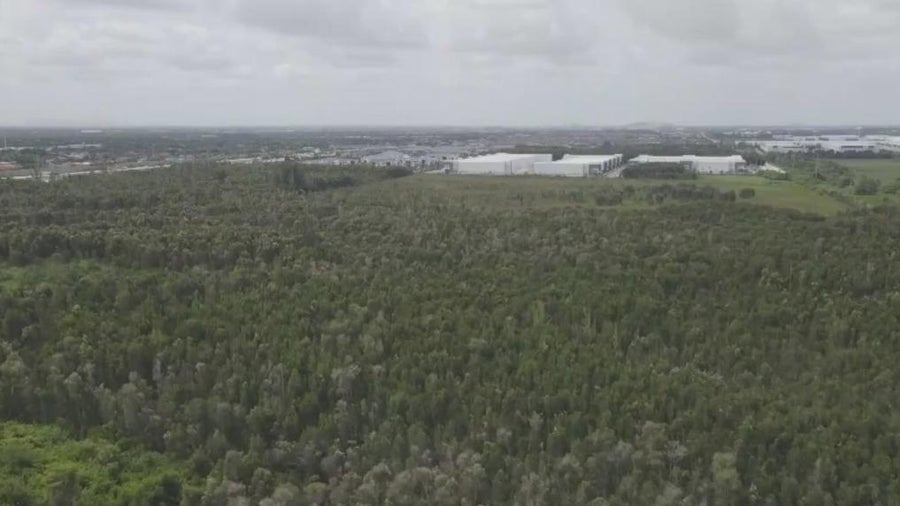 Proposed American Dream Miami mega mall near the Everglades remains on ...