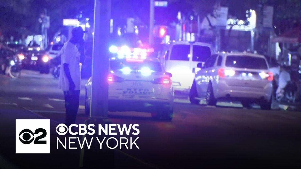 A 3-year-old struck and killed by a driver in Harlem is part of a concerning trend in 2024, NYC ...