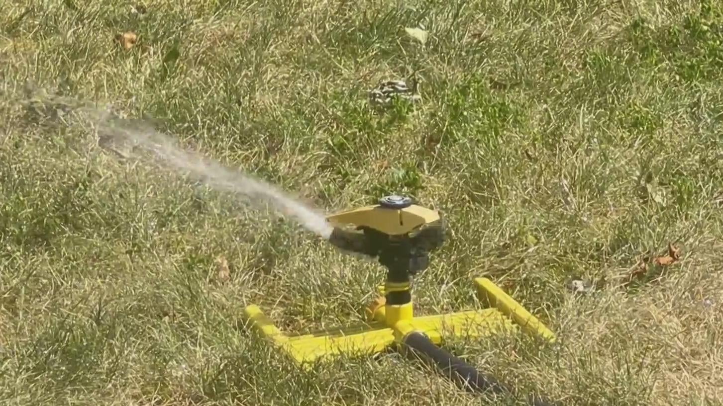 Keeping your lawn alive during the summer - CBS Pittsburgh