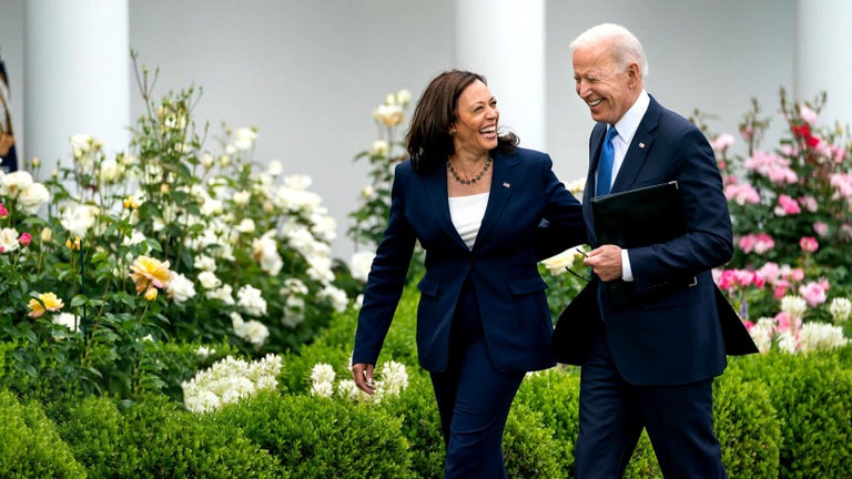 What to know about Kamala Harris' viral coconut tree meme: "You exist ...