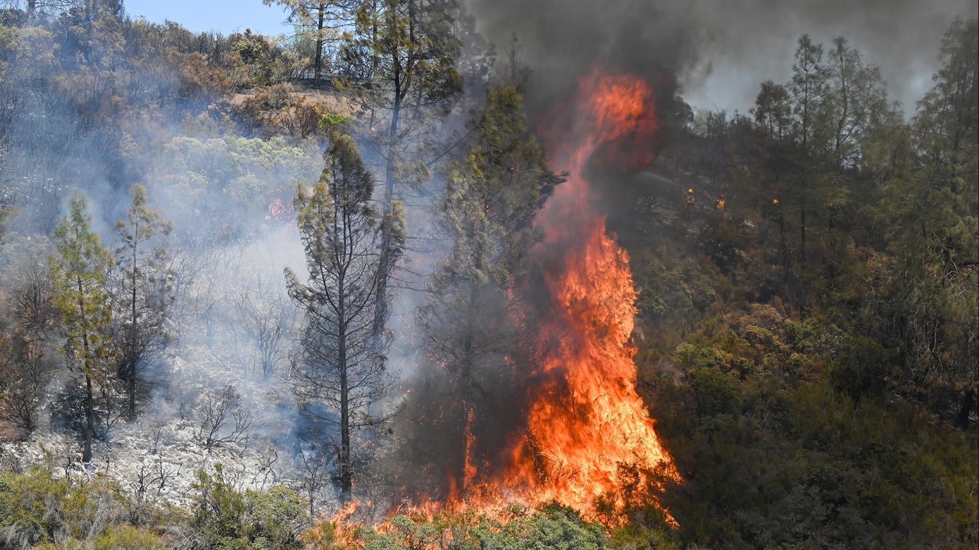 Raging wildfire reaches resort town of Jasper in Canadian Rockies ...