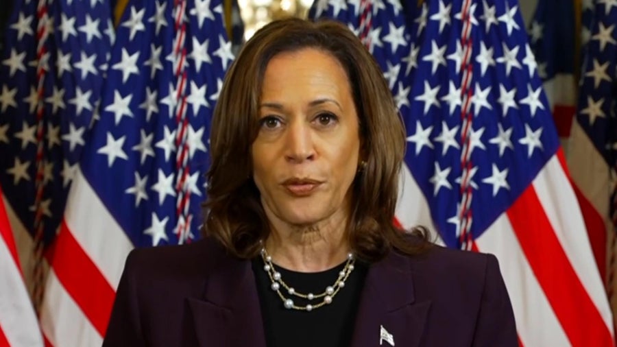 Kamala Harris condemns pro-Hamas protesters who burned American flag in ...
