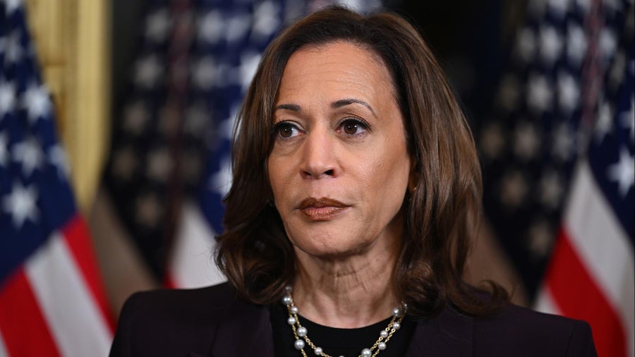 Kamala Harris has begun "thorough" process to pick running mate ...