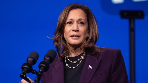 Who could Kamala Harris pick as her VP? Here are 10 potential running ...