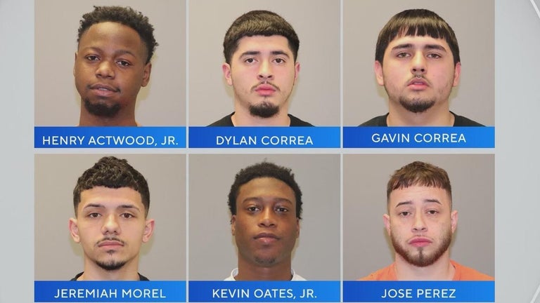 Authorities take down one of the biggest auto theft rings ever in North ...