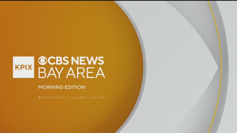 SF SAFE director accused of misusing $700K in public funds, faces 34 ...