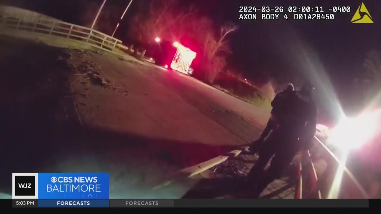 New video shows rescue of only construction worker to survive fall from ...