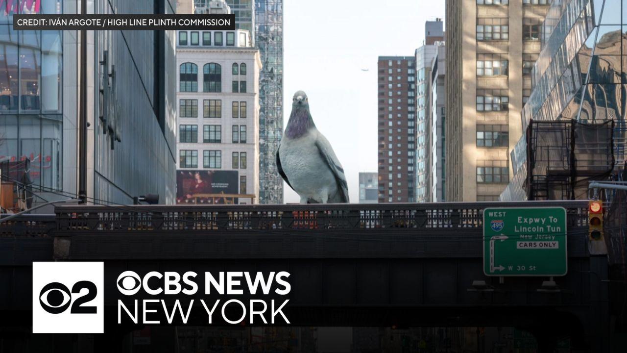 Giant sculpture of a pigeon coming to The High Line in NYC - CBS New York