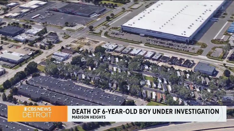 Michigan man charged with beating his 95-year-old mother to death - CBS ...