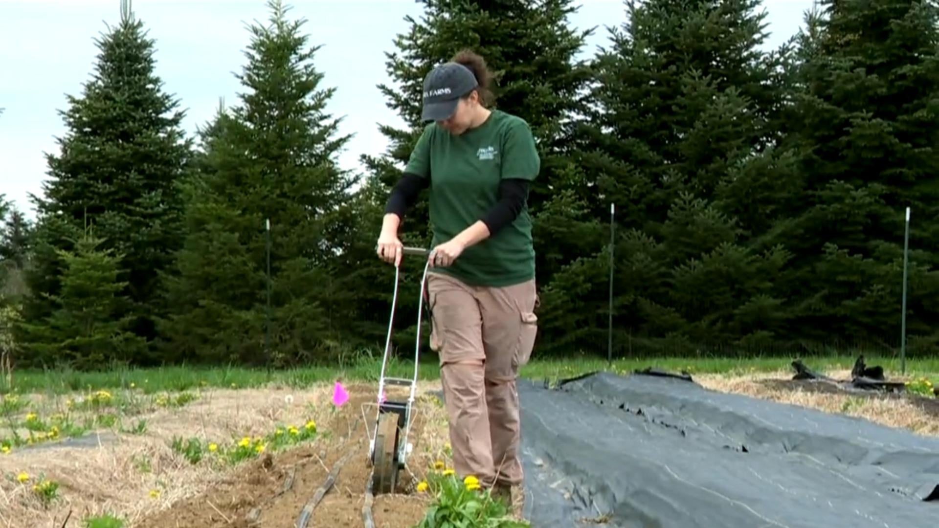 As America's farming population ages, a new program looks to cultivate ...