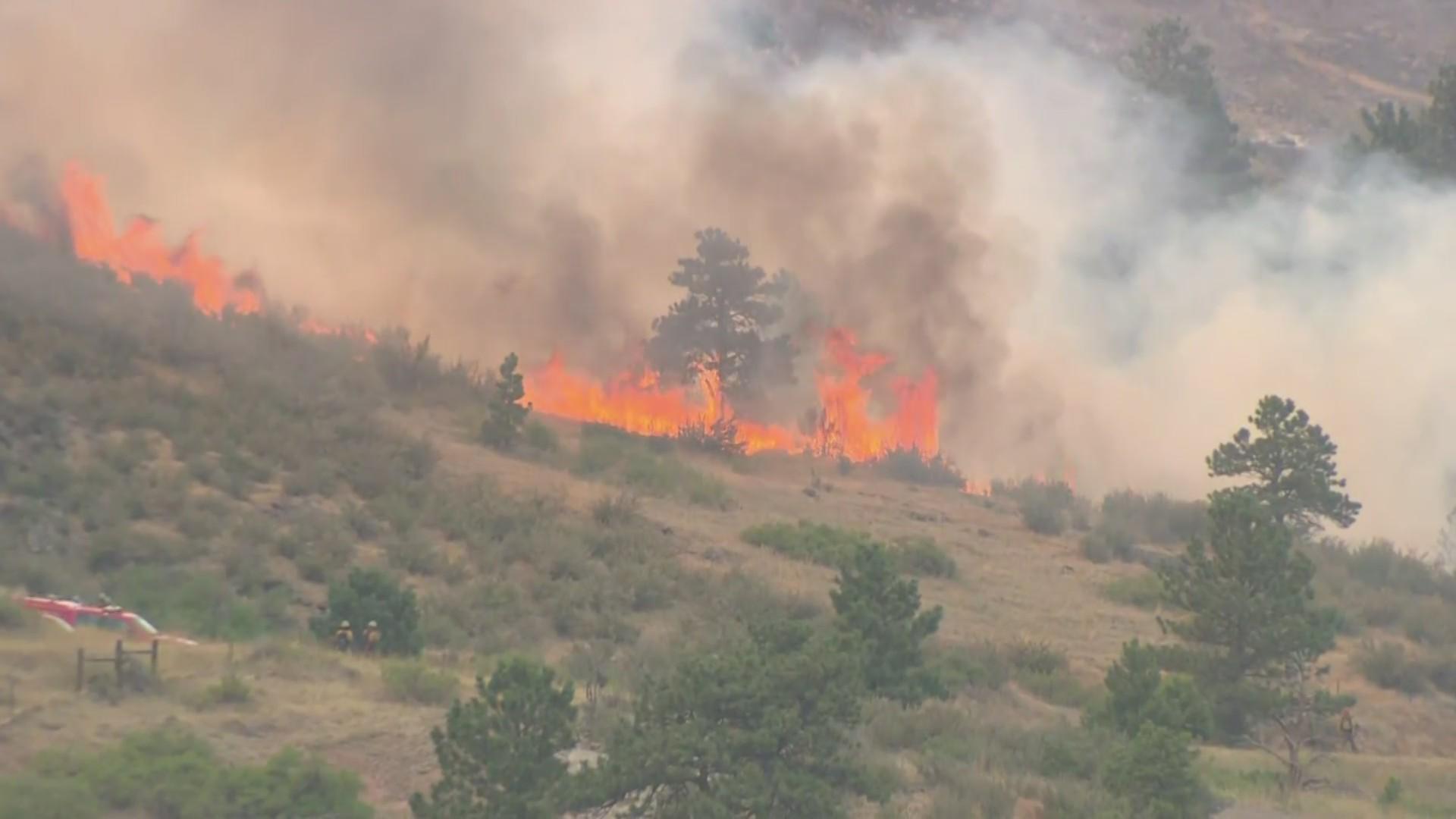 Artist says paintings, studio burned in Alexander Mountain Fire in ...