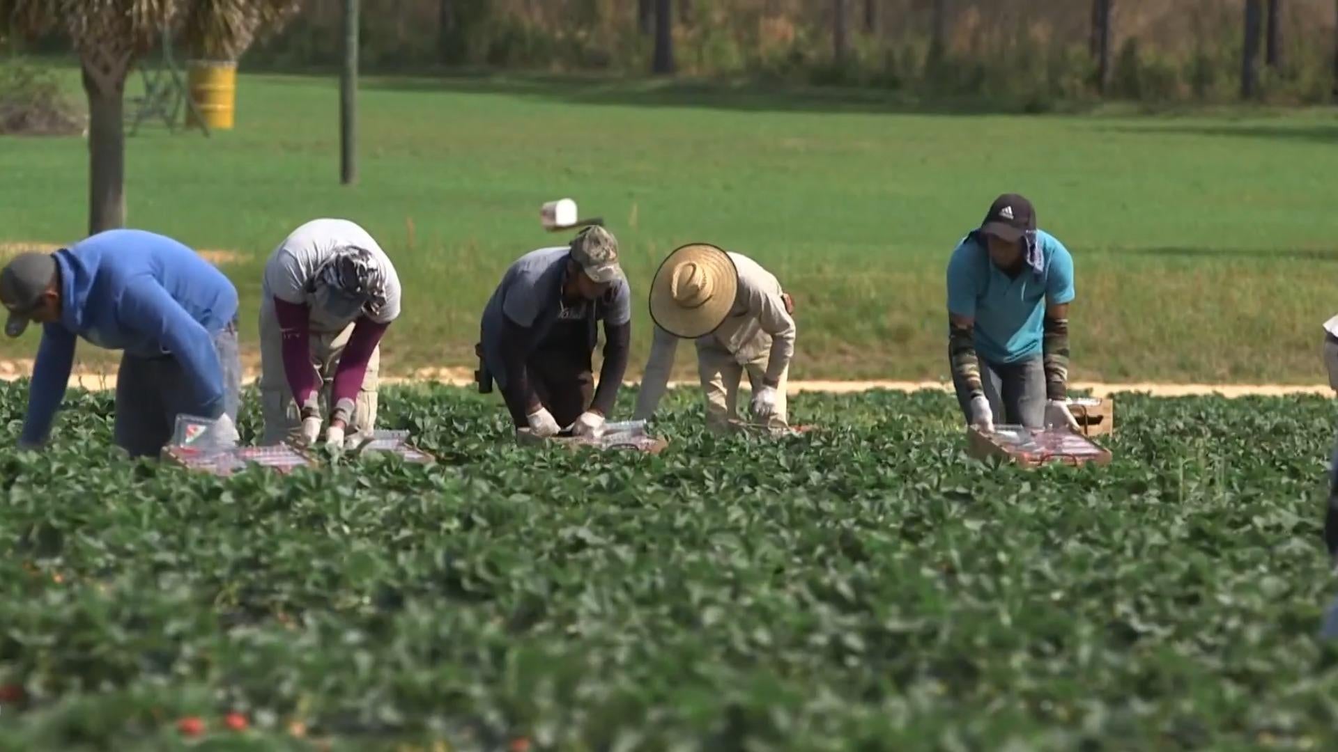 Health Secretary Becerra touts extreme heat protections. Farmworkers ...