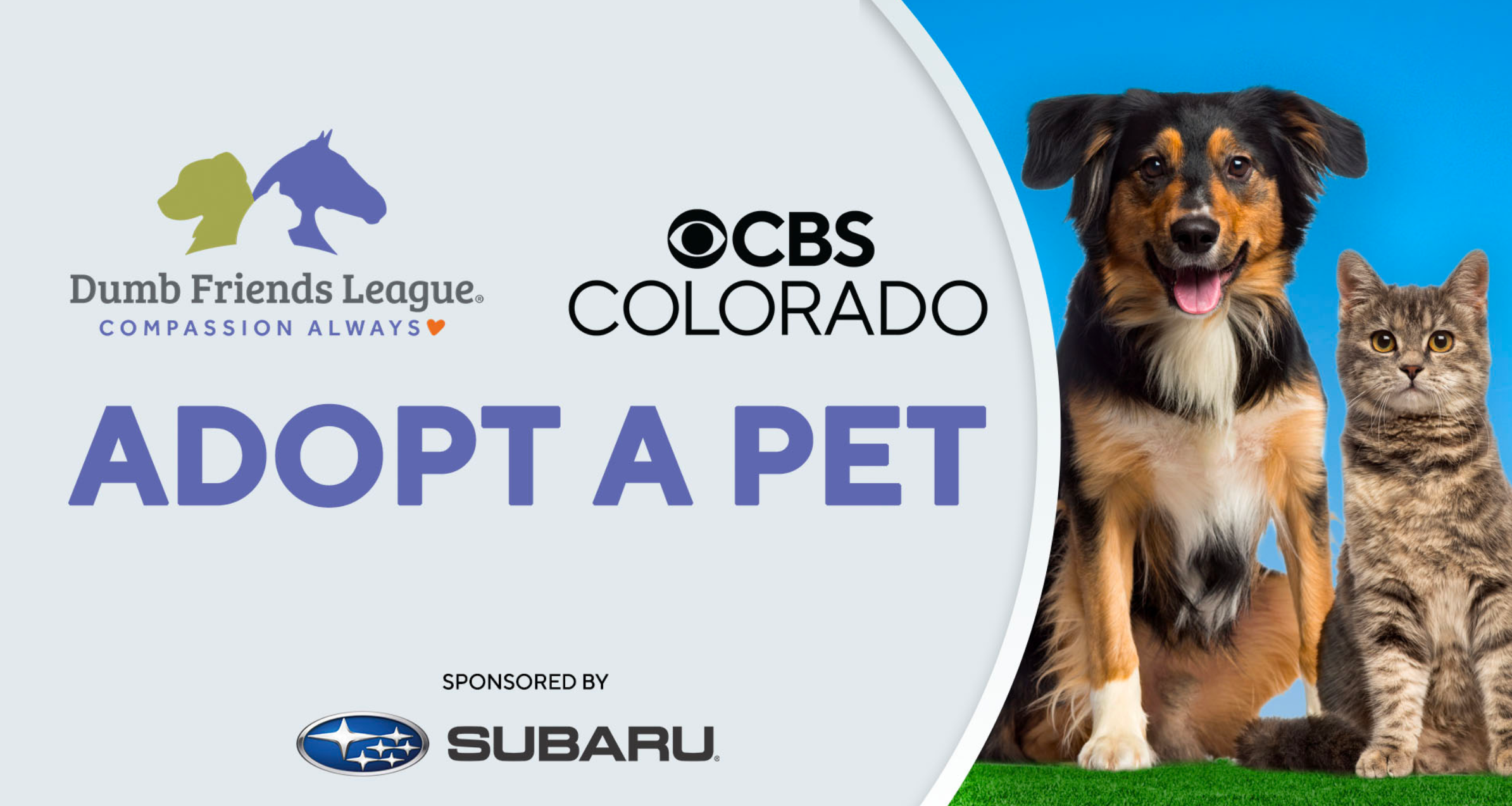 Adopt-a-Pet - CBS Colorado