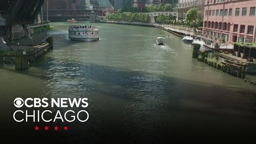 Remembering the disgusting Dave Matthews Band bus incident 20 years later - CBS Chicago