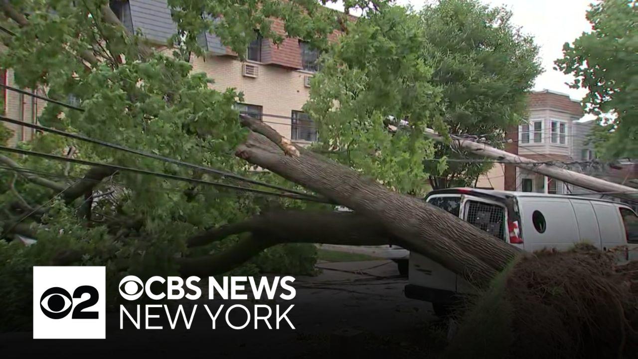 Remnants of Debby knock down trees, cause power outages across NYC ...