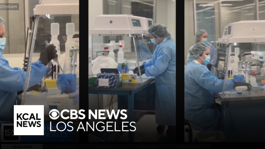 48 years after teen girl's murder in Hawaii, her former schoolmate is ...