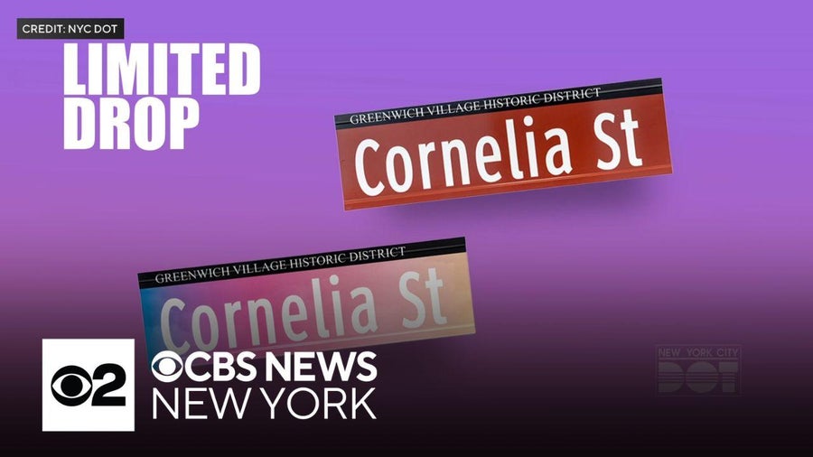 Taylor Swift fans jump on NYC's limited edition "Cornelia Street" signs ...