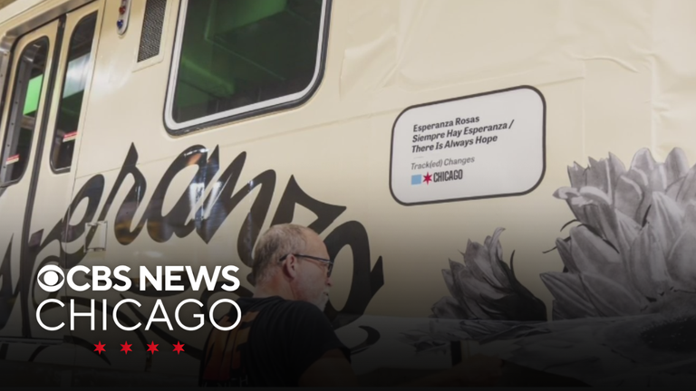 Chicago artists' murals to grace exteriors of CTA train cars - CBS Chicago