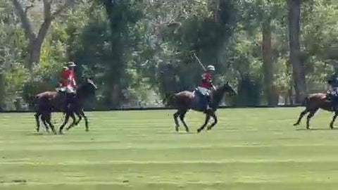 Denver Polo Club wants to make "old-world sport" accessible to ...