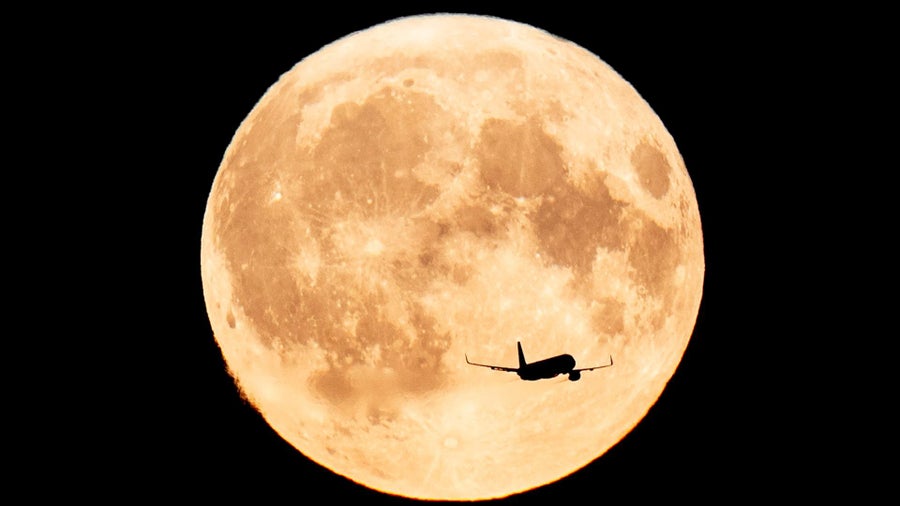 Photos of the blue supermoon show August's rare lunar phenomenon light ...