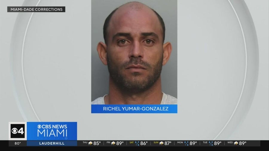 Man caught on video kicking small dog in NE Miami-Dade bonds out of ...