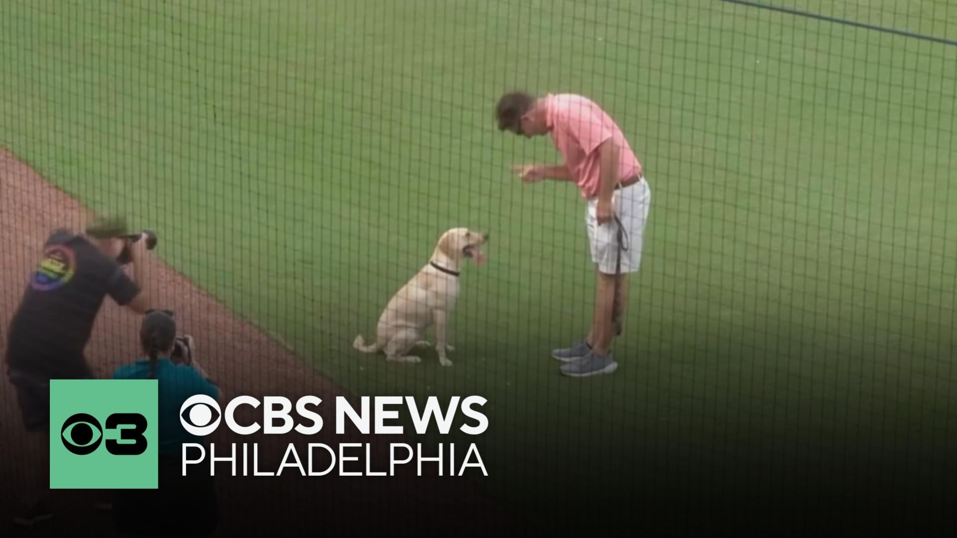 Phillies' Austin Hays placed on 10-day injured list with kidney ...