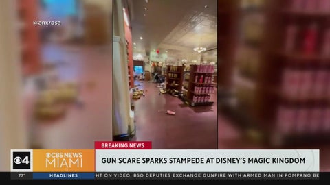 Gun scare at Disney World's Magic Kingdom sparks stampede - CBS Miami