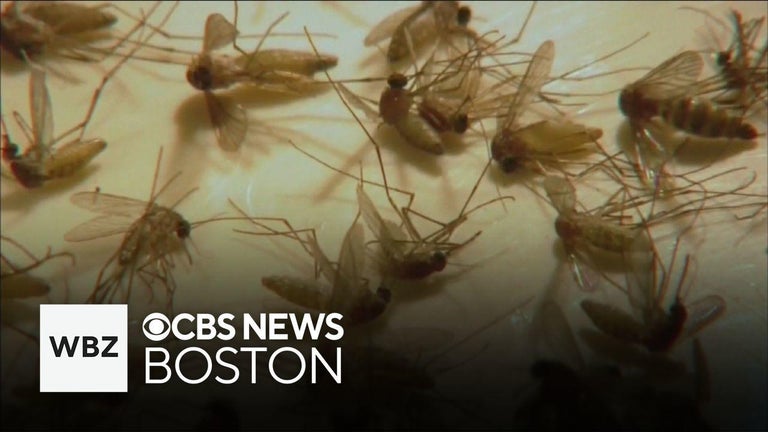 EEE map for Massachusetts shows towns at highest risk level for ...