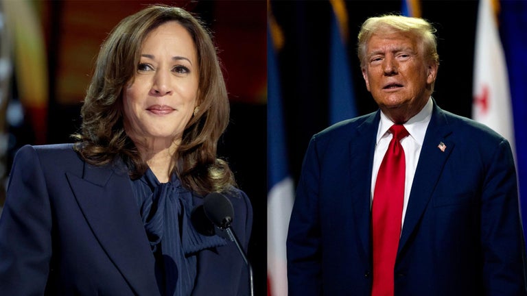 Harris and Trump have competing tax plans. Here's how your paycheck ...