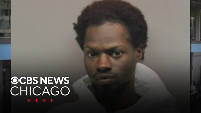 Suspect charged in shooting that killed 4 sleeping people on CTA Blue ...
