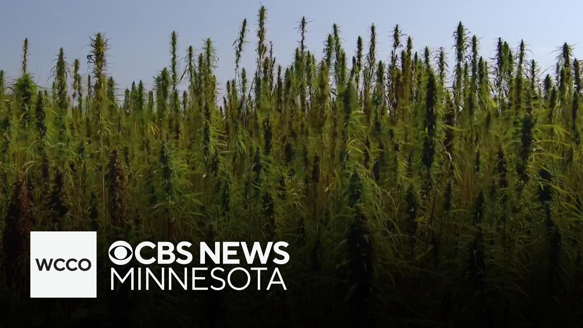 Lower Sioux Indian Community opens new facility to expand production of ...