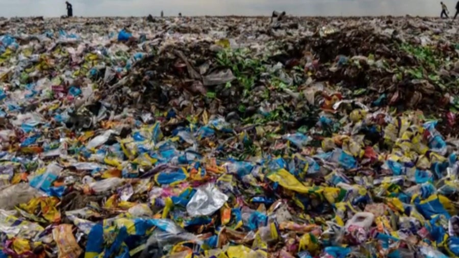 White blobs washing up on Newfoundland beaches stump experts and worry ...