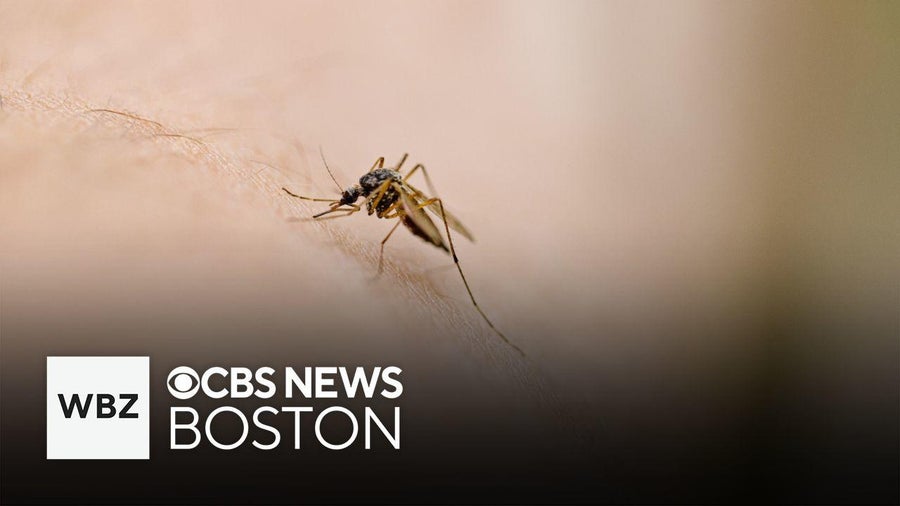 Map shows where EEE risk is highest in Massachusetts from infected ...