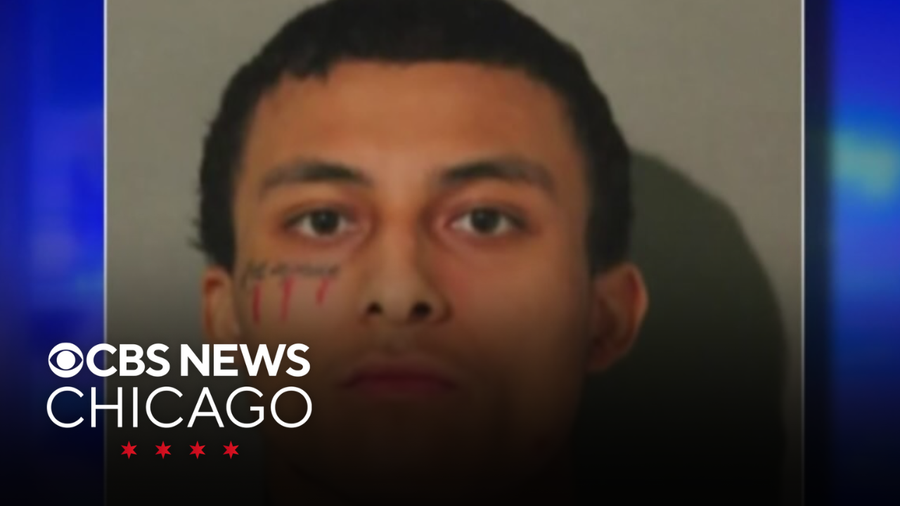 Man gets life without parole for murder of Chicago Police Officer Ella ...