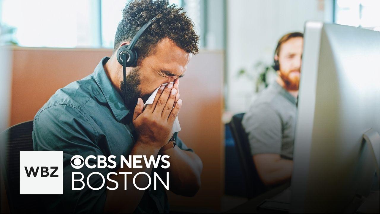 Employees feel pressured to work while sick, research shows - CBS Boston
