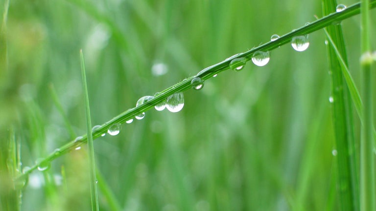 What is dew point? How it's different than humidity and a better ...