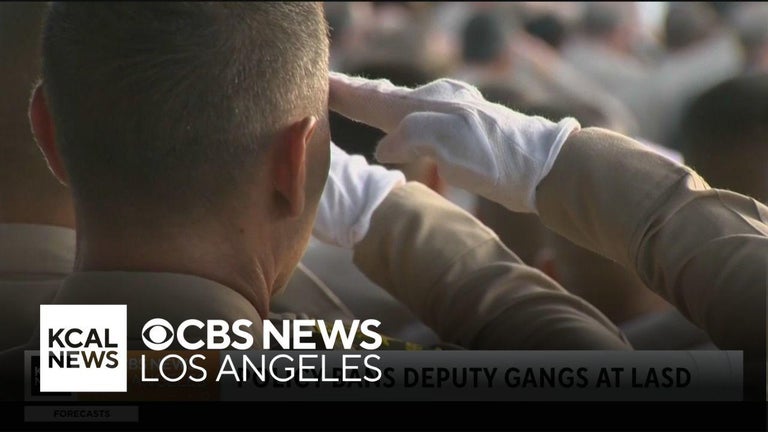 Gangs within the Los Angeles County Sheriff's Department are banned ...